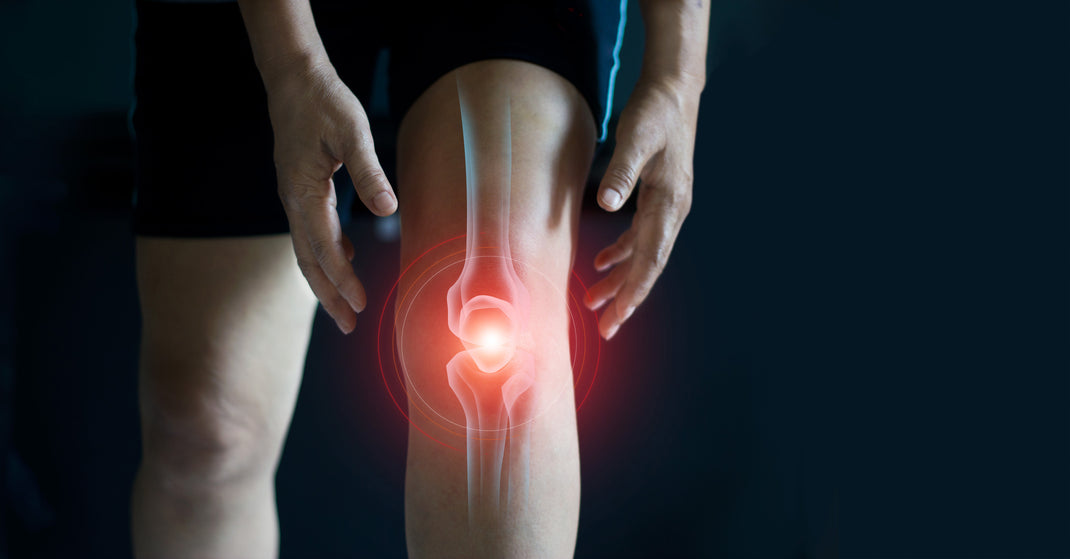 Meniscal Root Tear: Diagnosis, Treatment & Surgical Repair | Dr ...